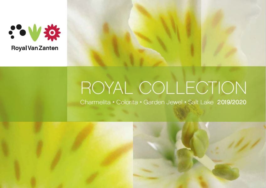 Voorzijde brochure - Royal Van Zanten