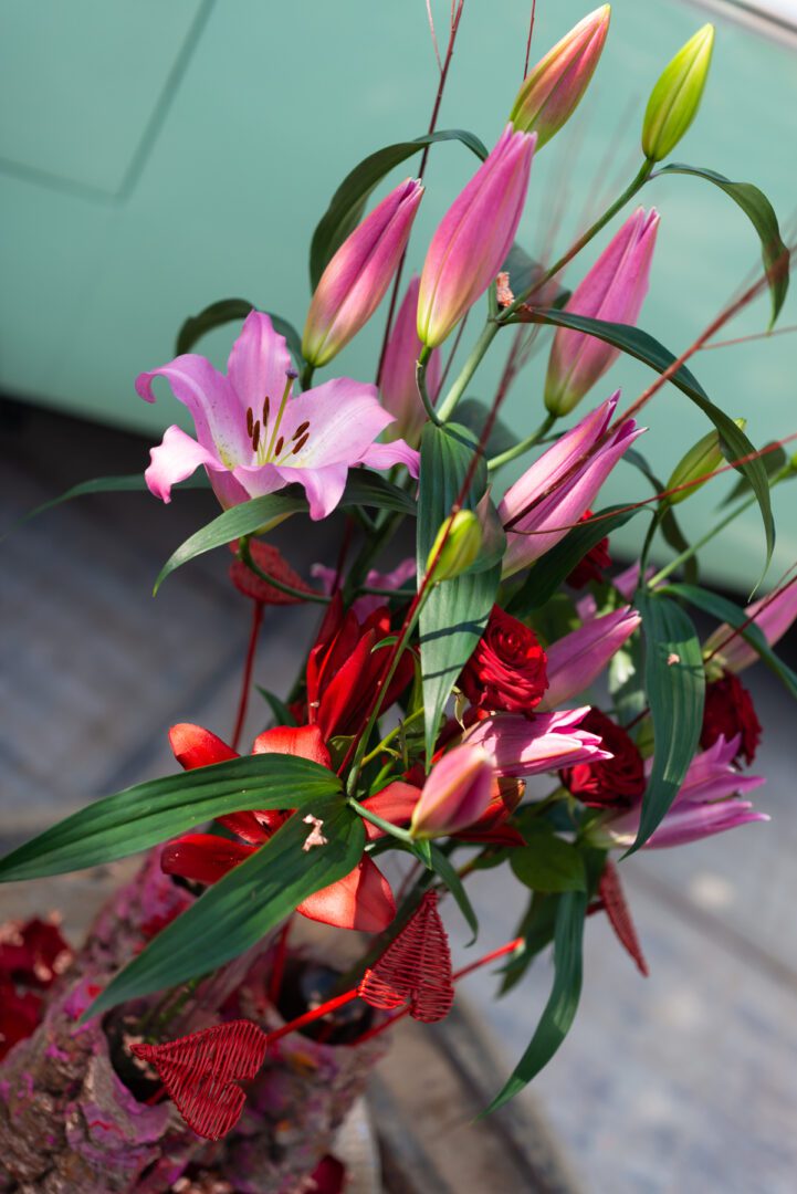 Royal van Zanten - Royal Van Zanten