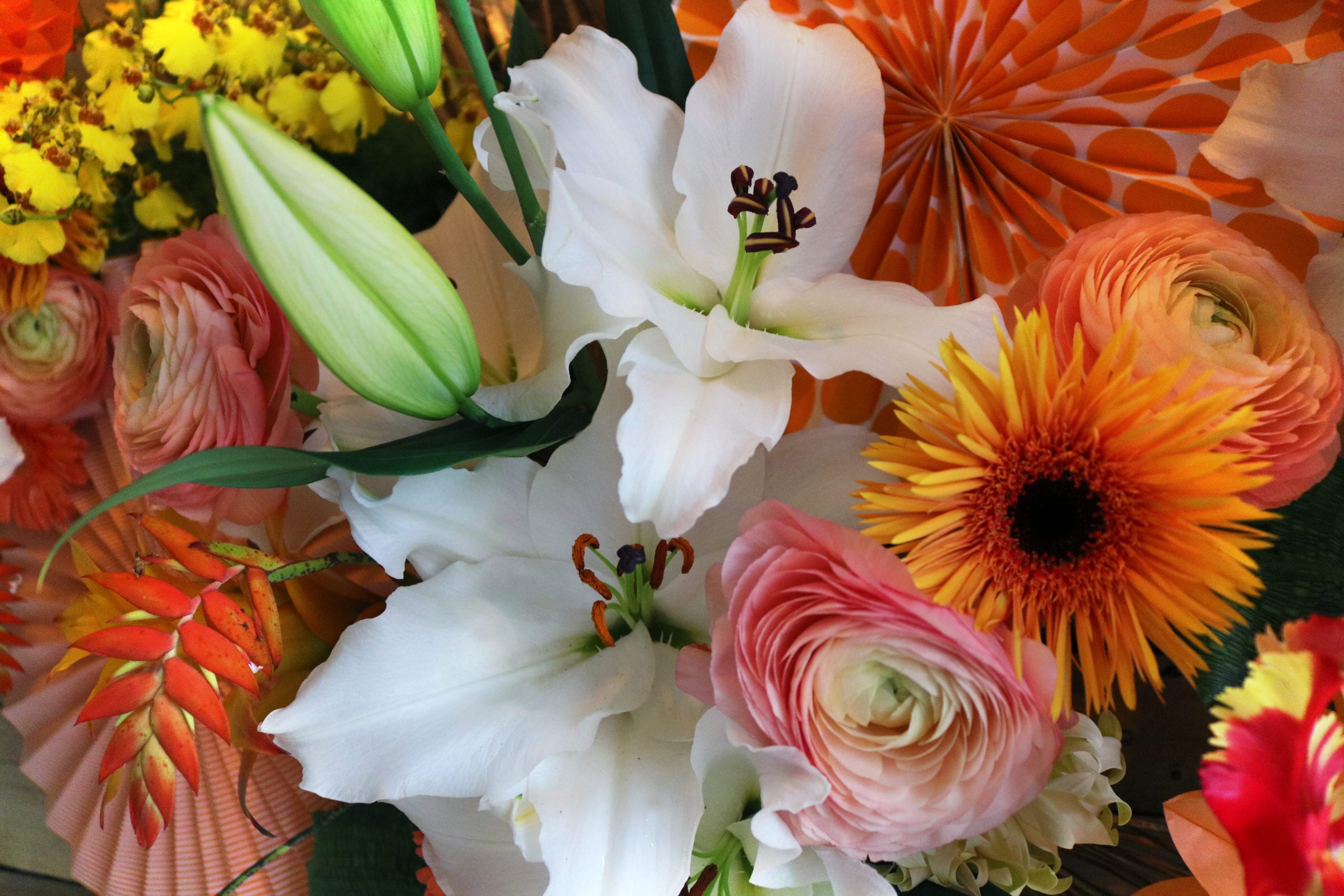 10 years of Signum - time to celebrate - Royal Van Zanten