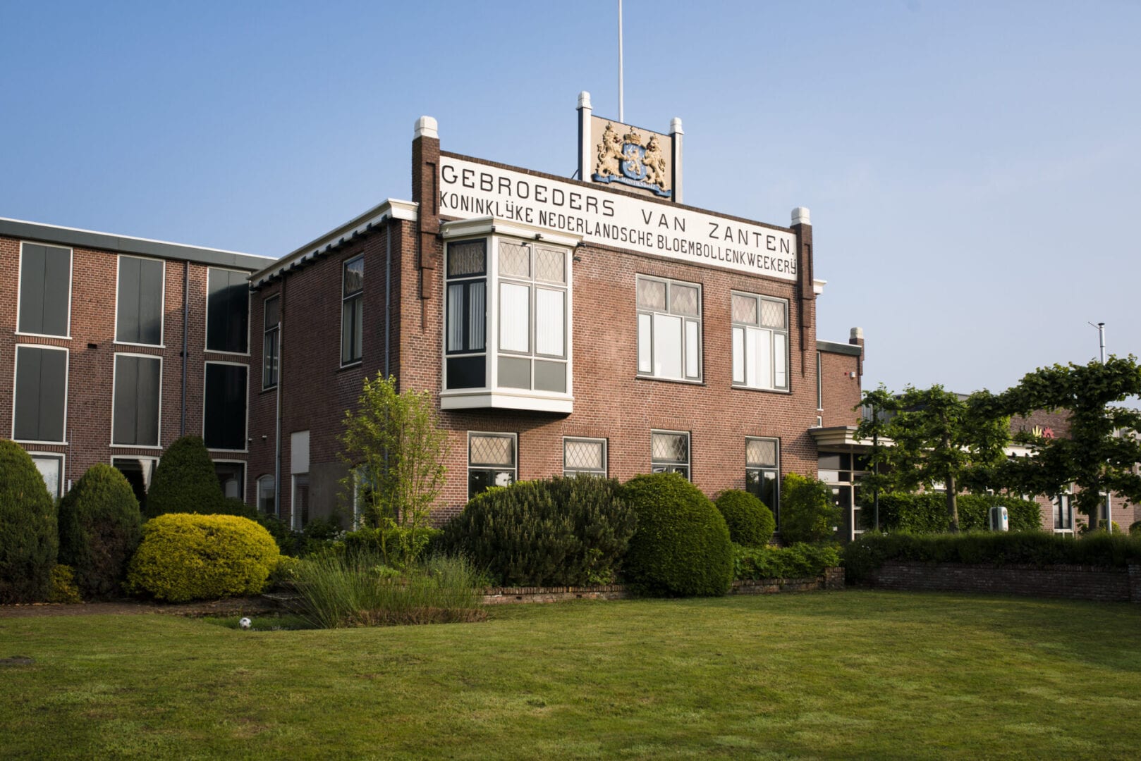 No Dutch Lily Days. Yes a video impression. - Royal Van Zanten