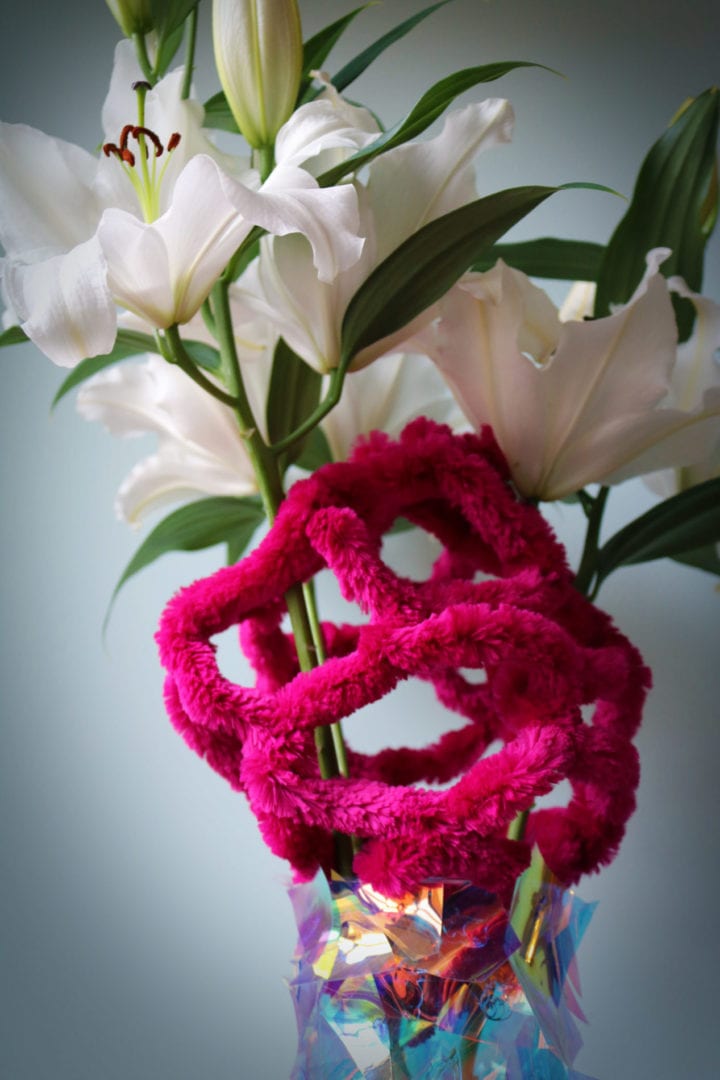 DIY met Signum Lilies (filmpje) - Royal Van Zanten