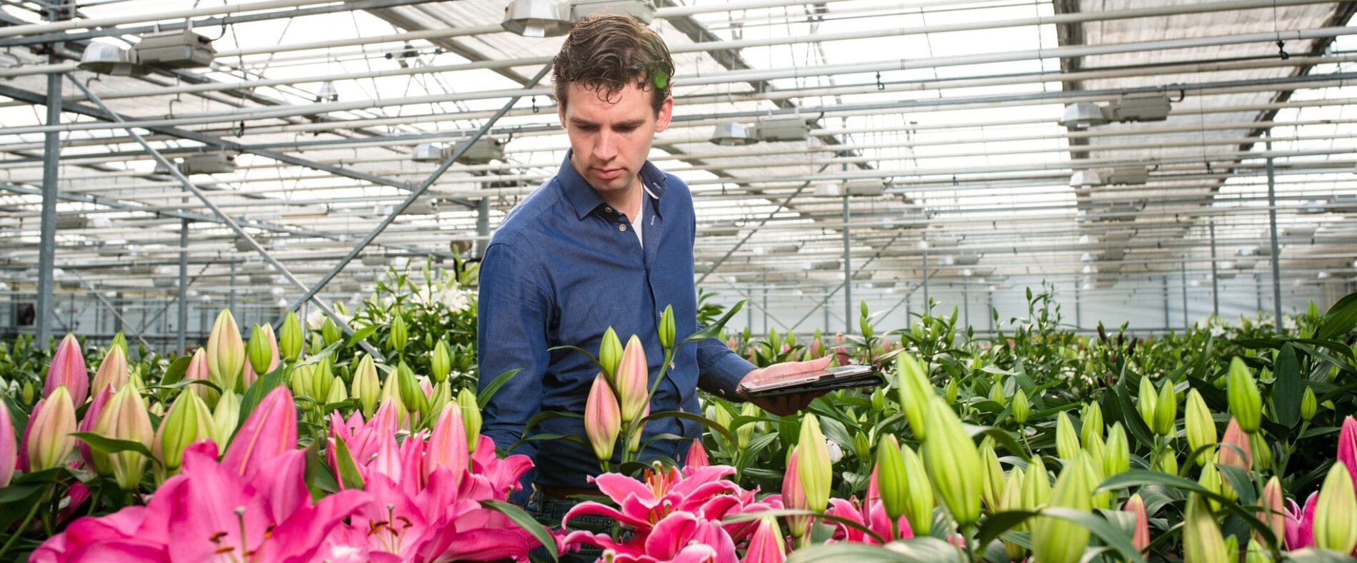 Werken bij Royal Van Zanten - Royal Van Zanten