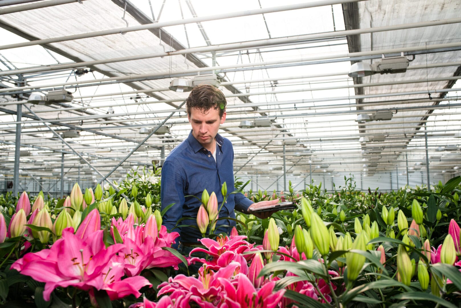 Working at Royal Van Zanten - Royal Van Zanten