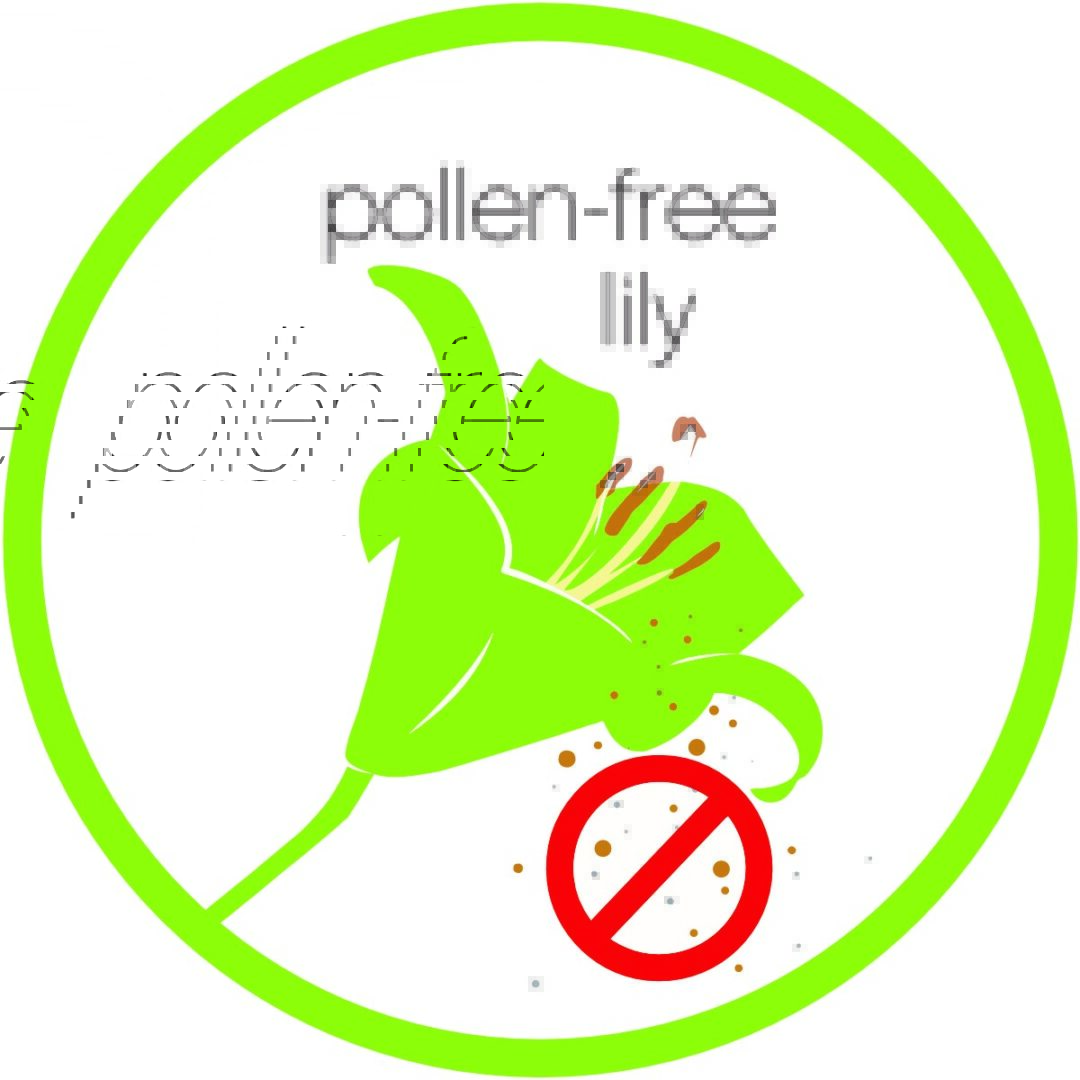 Liber Bay | Royal Van Zanten