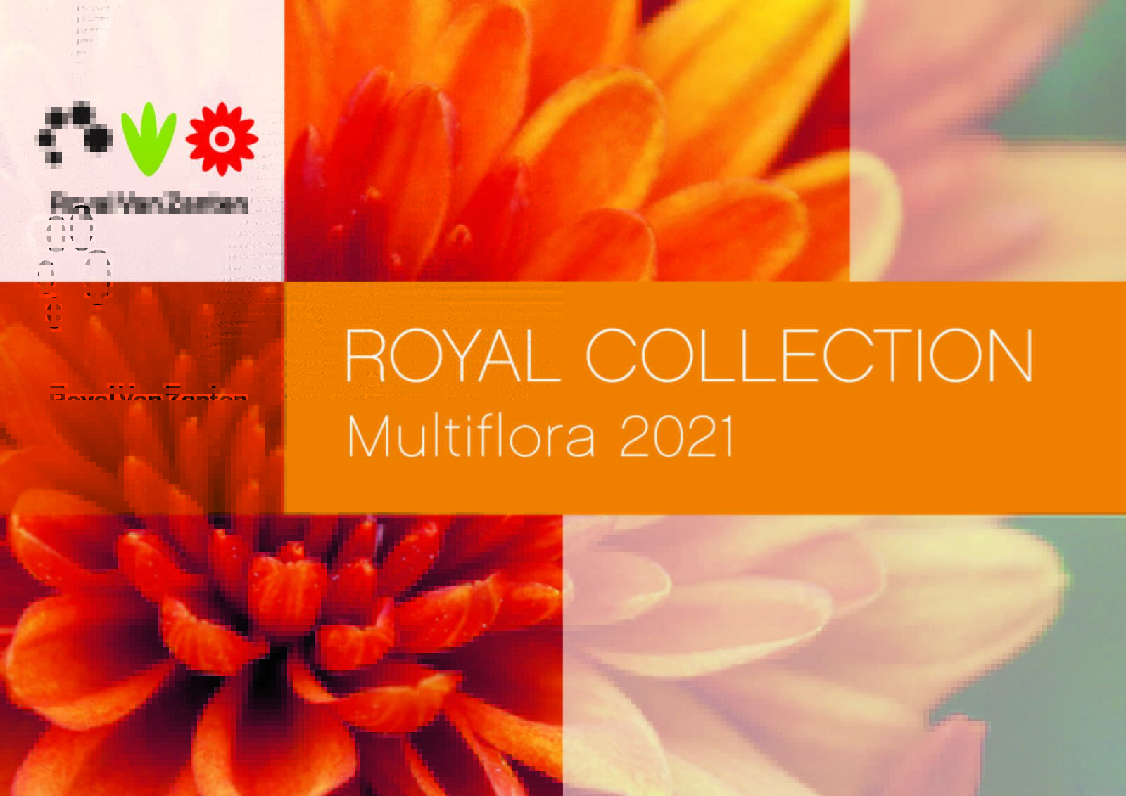 Downloads - Royal Van Zanten