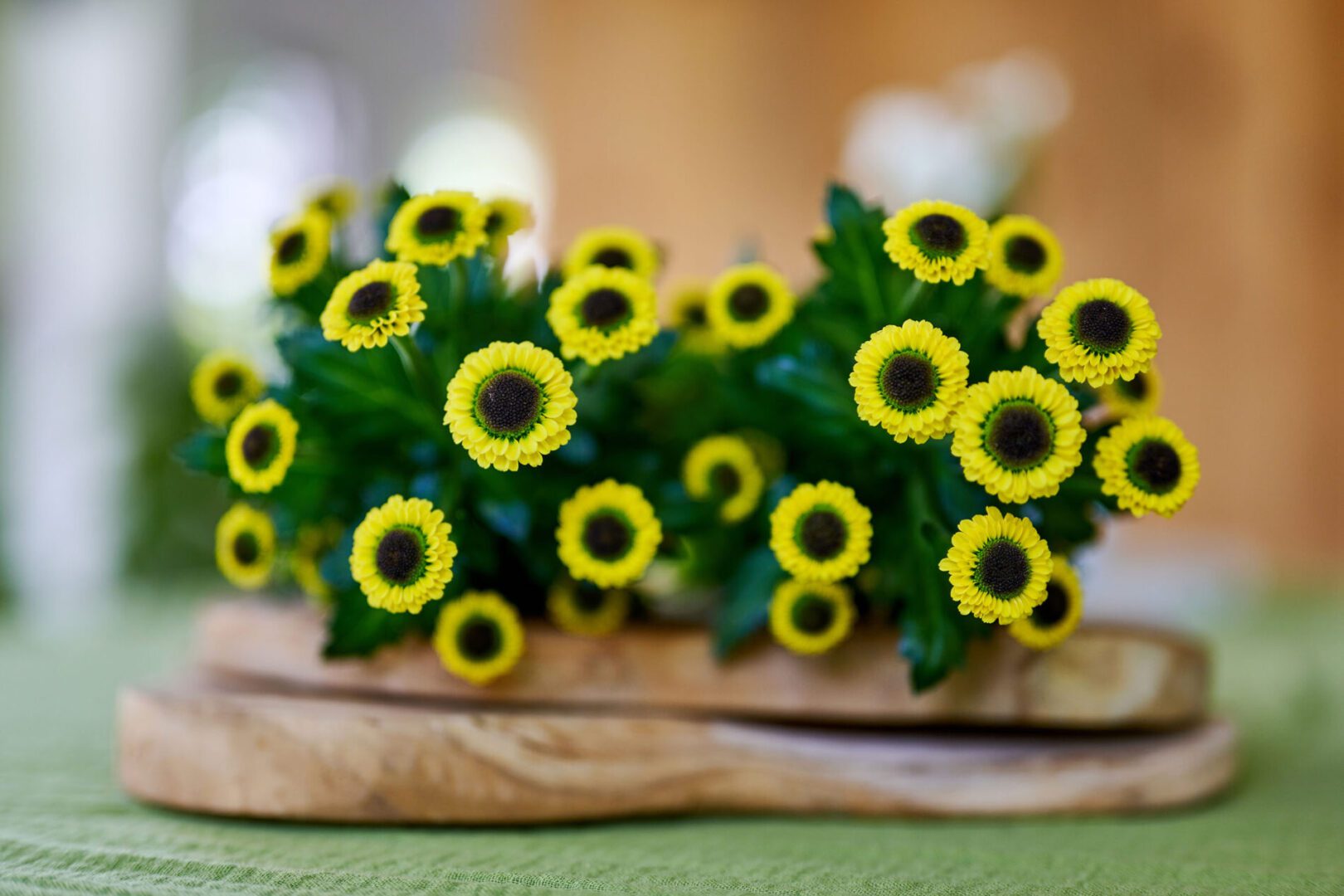 Expo Flor Ecuador is going to be Unforgettable and Extraordinary ...