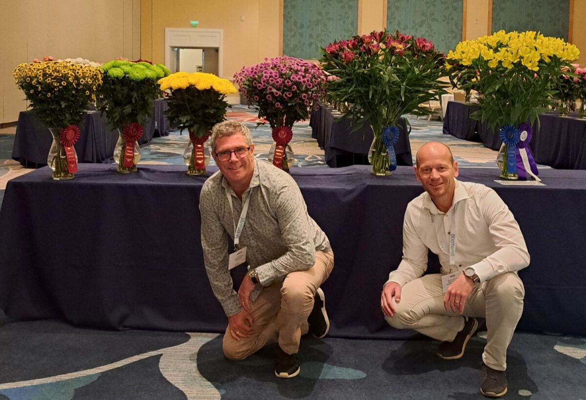 Royal Van Zanten wins eight awards during SAF - Royal Van Zanten