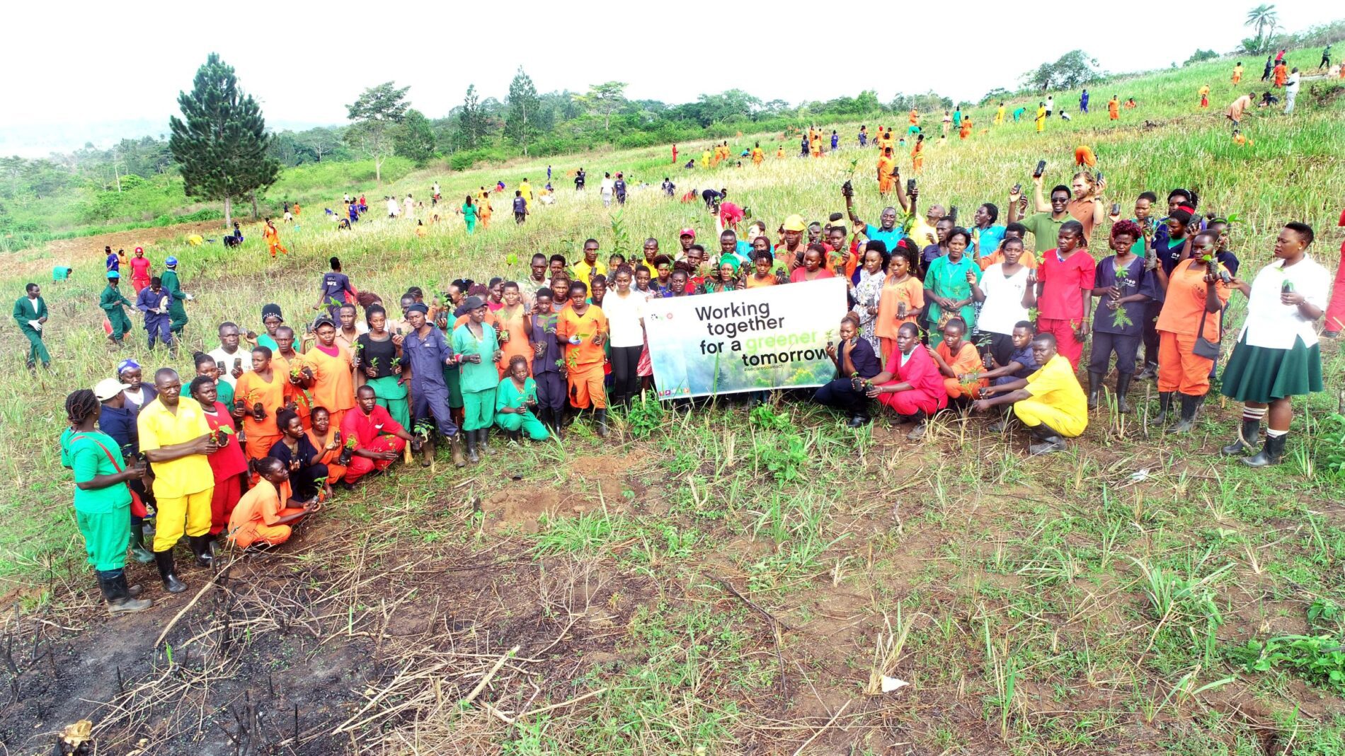 Royal Van Zanten plants 2-hectares of forest in Uganda and South-Africa ...