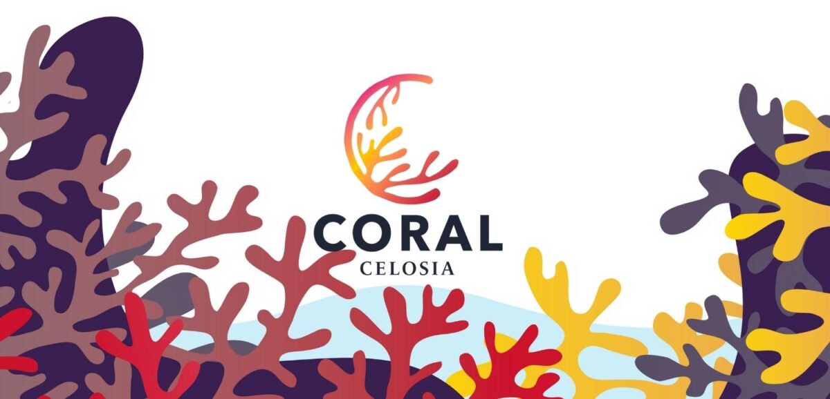 ‘Coral Celosia’ - Royal Van Zanten