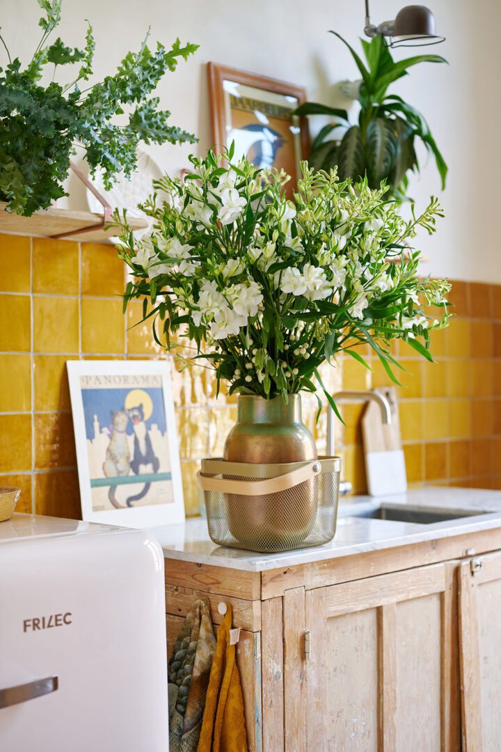 Charmelia, for a cheerful spring - Royal Van Zanten