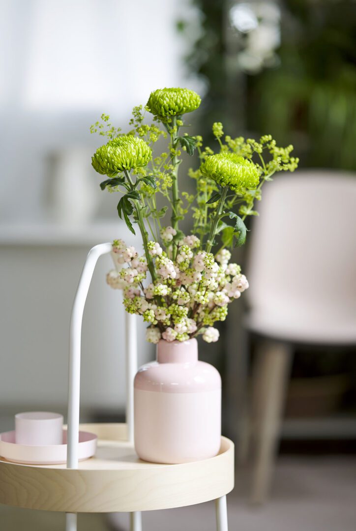 Ofir: fresh green & long vase life - Royal Van Zanten