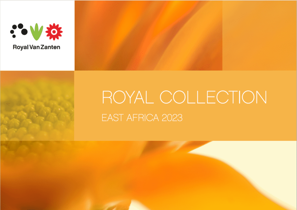 Frontpage - Royal Van Zanten