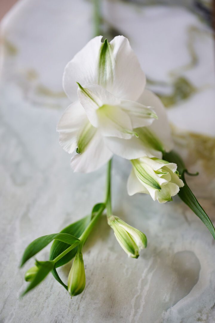 What’s b(l)ooming today - inspiration for florists and buyers - Royal ...
