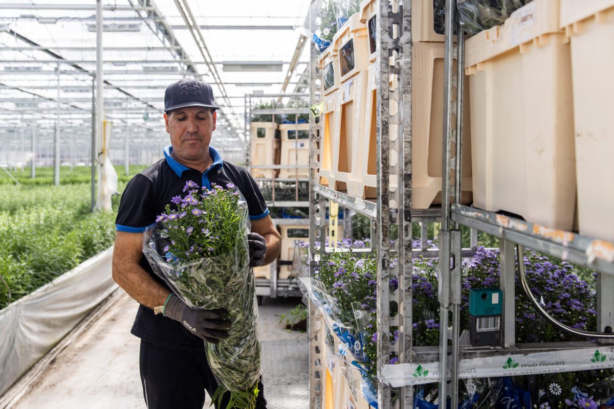 20230411-Royal-van-Zanten-9141-Web - Royal Van Zanten