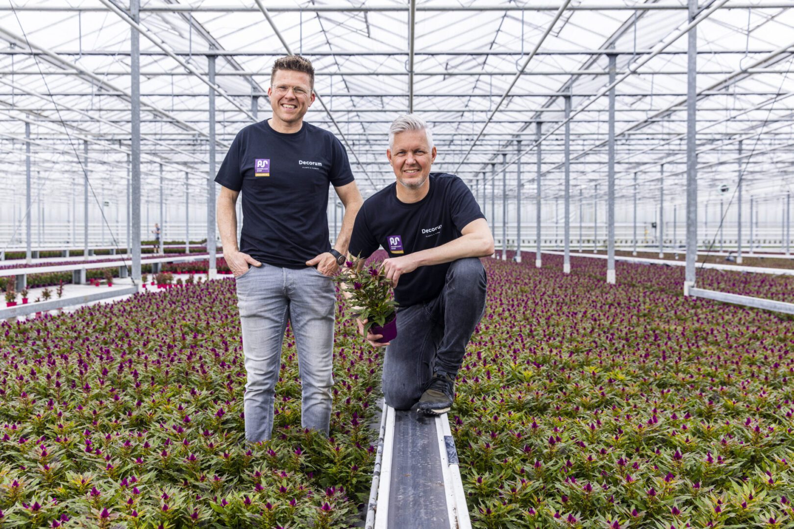 Meet The Grower: Ammerlaan Sosef - Royal Van Zanten