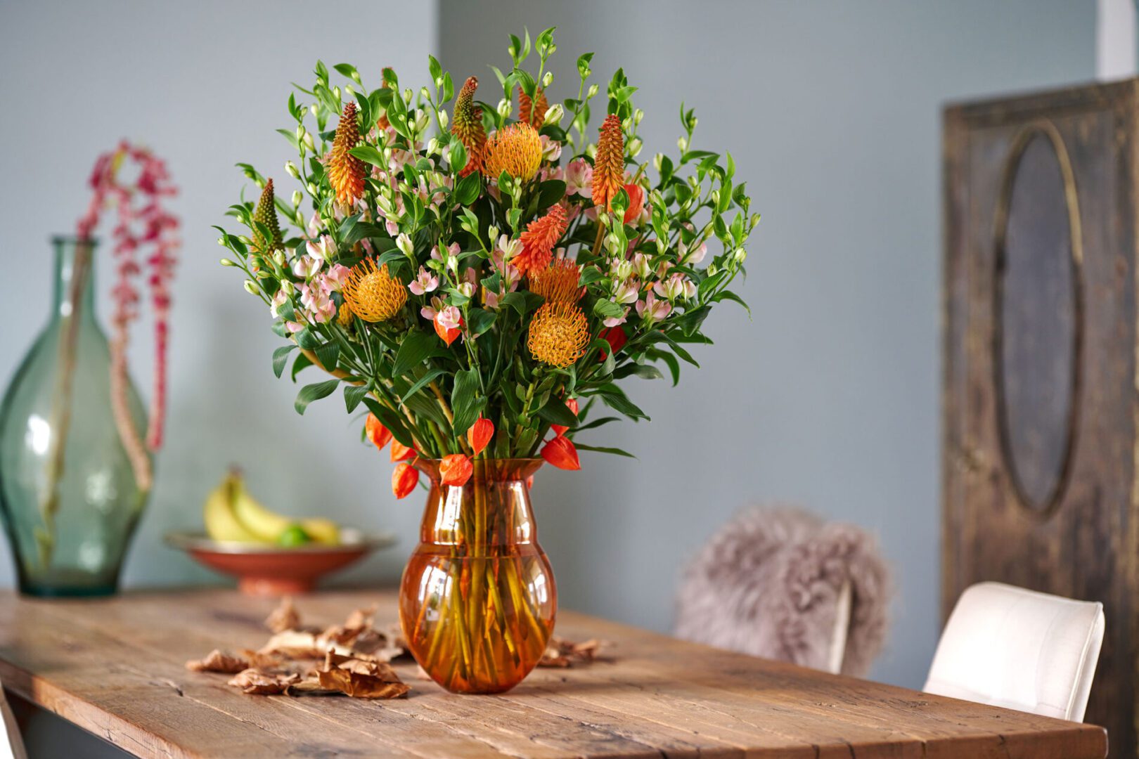 Charmelia, for a colourful autumn - Royal Van Zanten