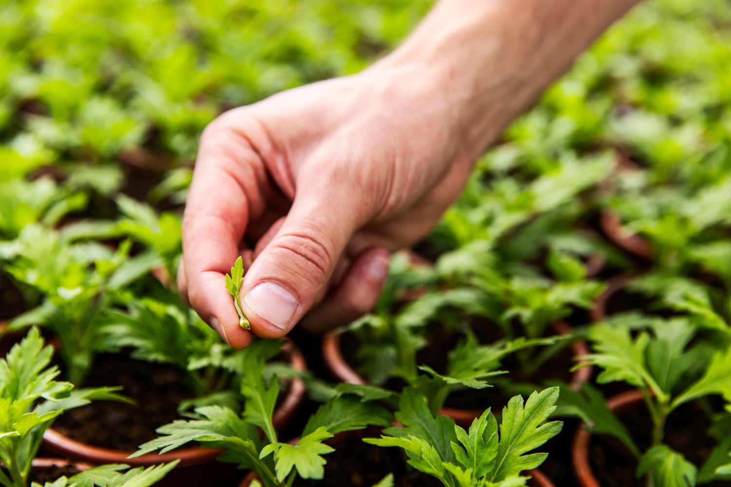 20231002-Royal-van-Zanten-1778-Web - Royal Van Zanten