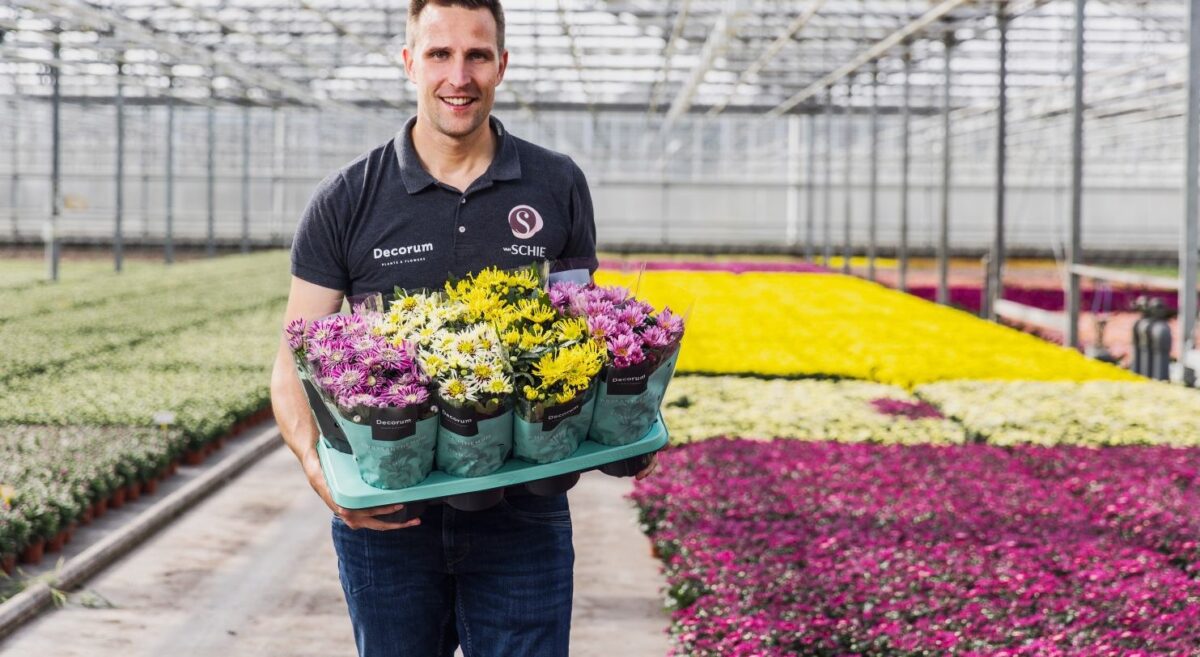 20231002-Royal-van-Zanten-pan1702-Web - Royal Van Zanten