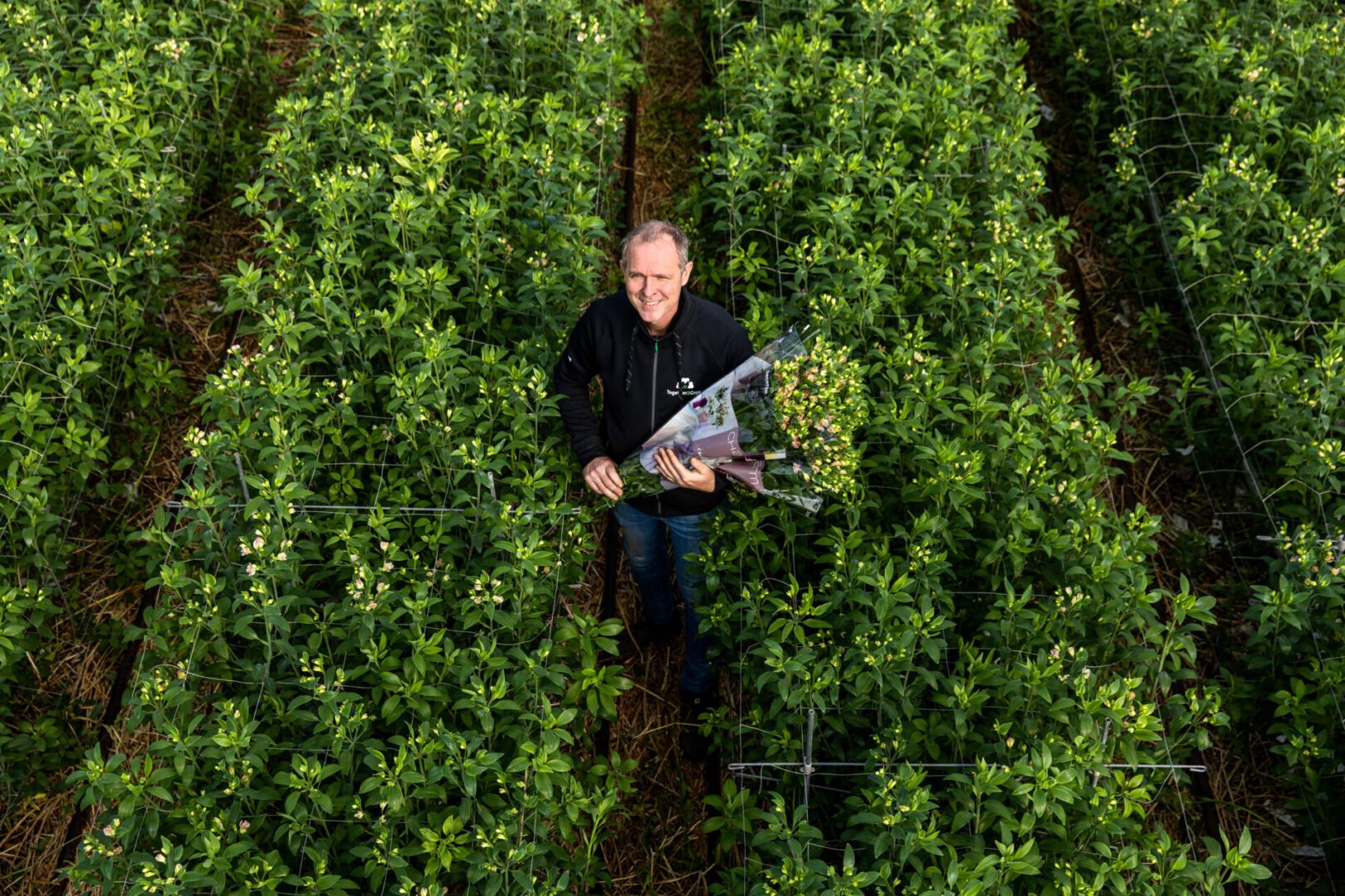 Meet The Grower: Together2Grow - Royal Van Zanten