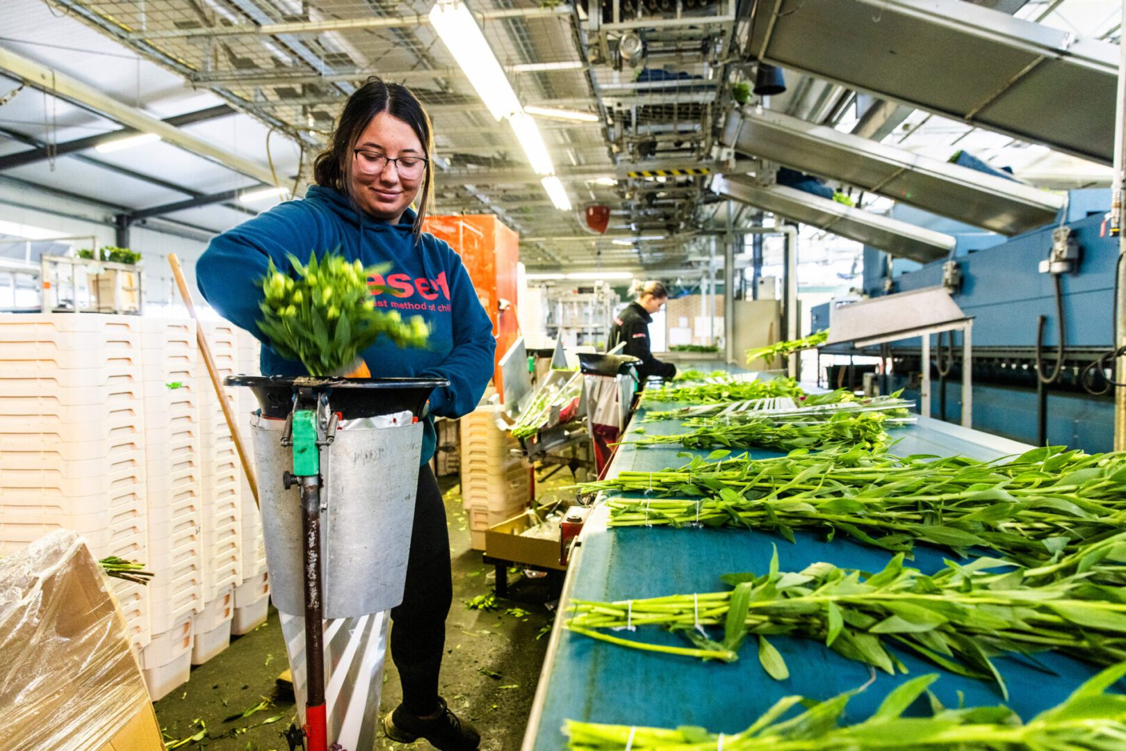 20230411-Royal-van-Zanten-8939-Web - Royal Van Zanten