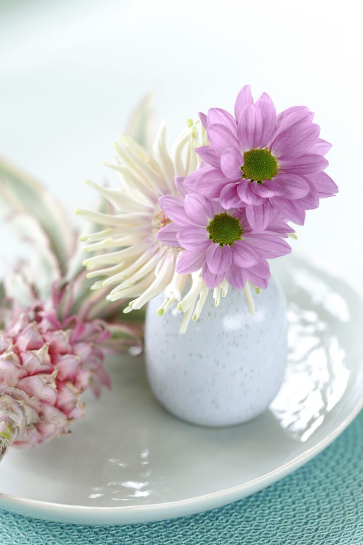 Myra_2a_Preview - Royal Van Zanten