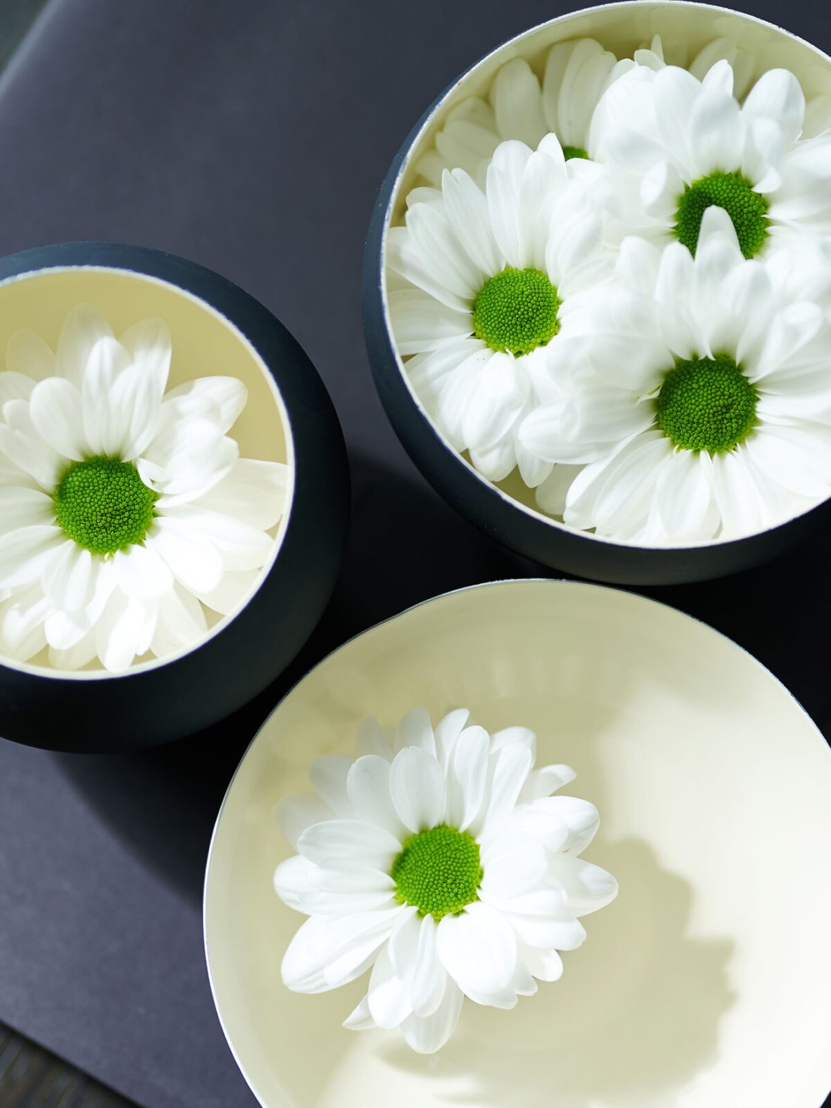 'What’s b(l)ooming today’ - Royal Van Zanten