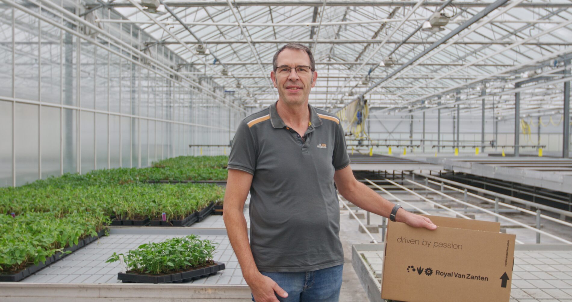 Royal Van Zanten goes for sustainable packaging solution - Royal Van Zanten