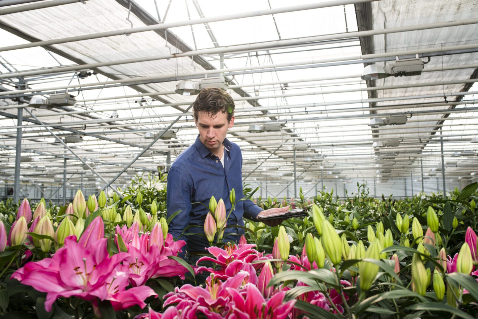 KLAPSTUK Beeldmakers - Royal Van Zanten